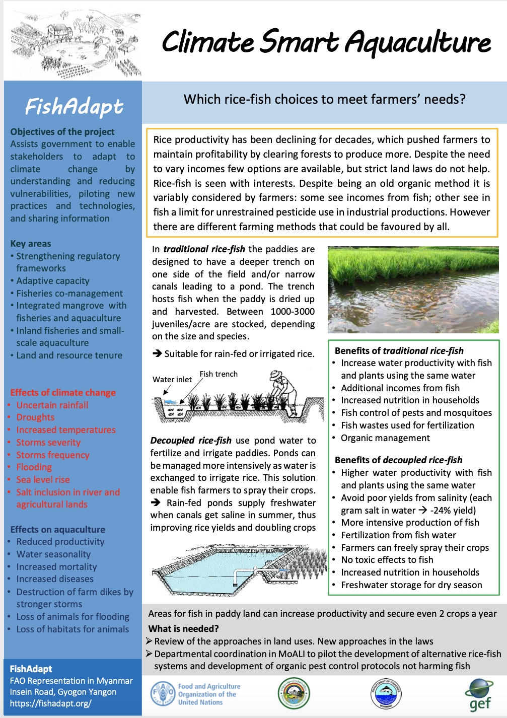 Climate Smart Aquaculture - Which rice-fish choices to meet farmers’ needs? | FishAdapt Project